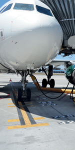 Dabico-pca-01 - Dabico